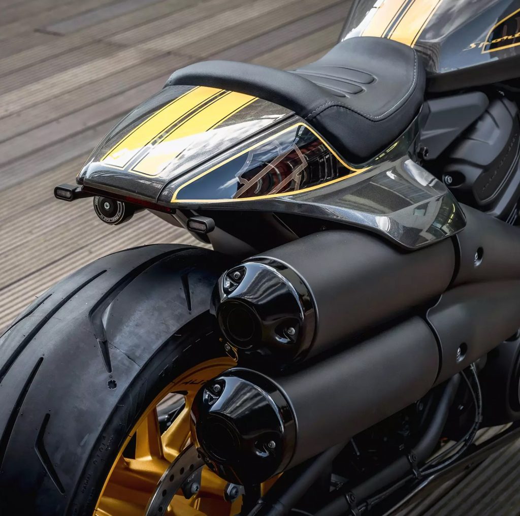 Custom Taillights, Turn Signals and Reflector Kit for 2021-Up Sportster ...